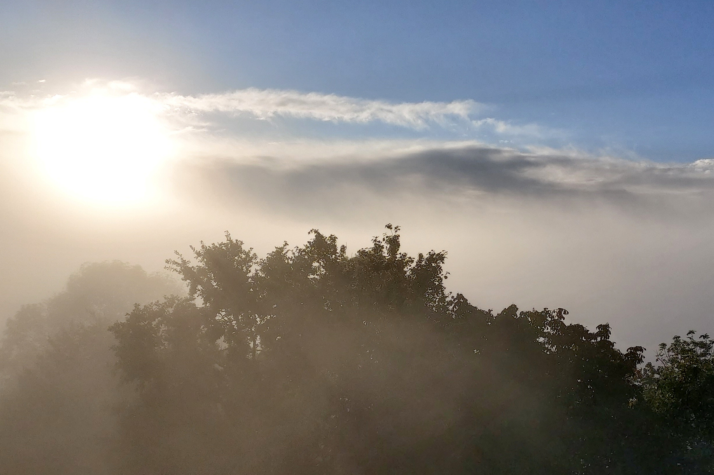 Die Nebel lichten sich – Energieheilung Andrea Weiler